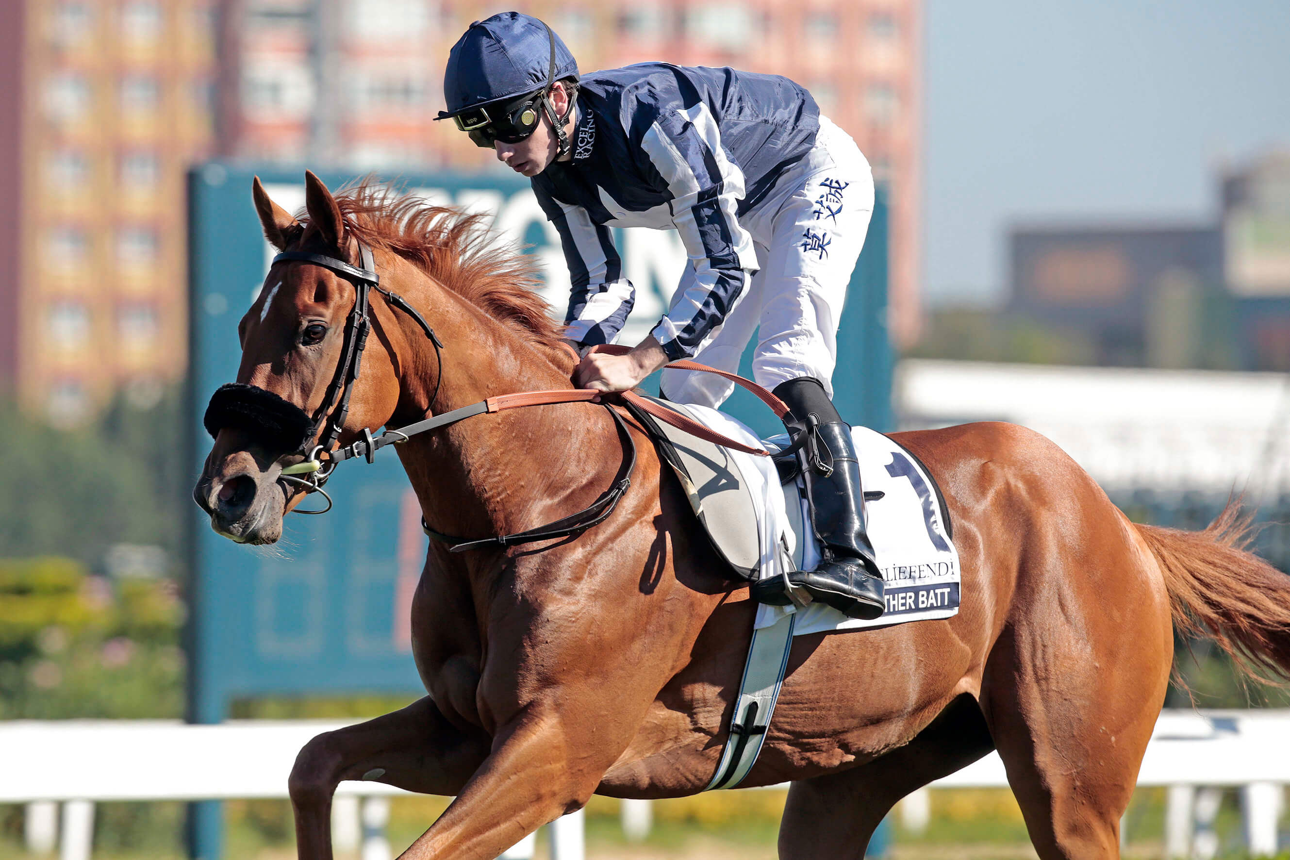 Another Batt wins the 'Racing UK Now In HD EBF Novice Stakes' - Elliott ...