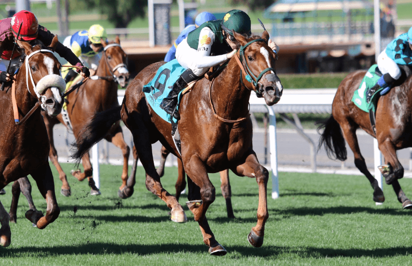 Lady Beware' sheds her maiden tag at Santa Anita for trainer Shelbe ...