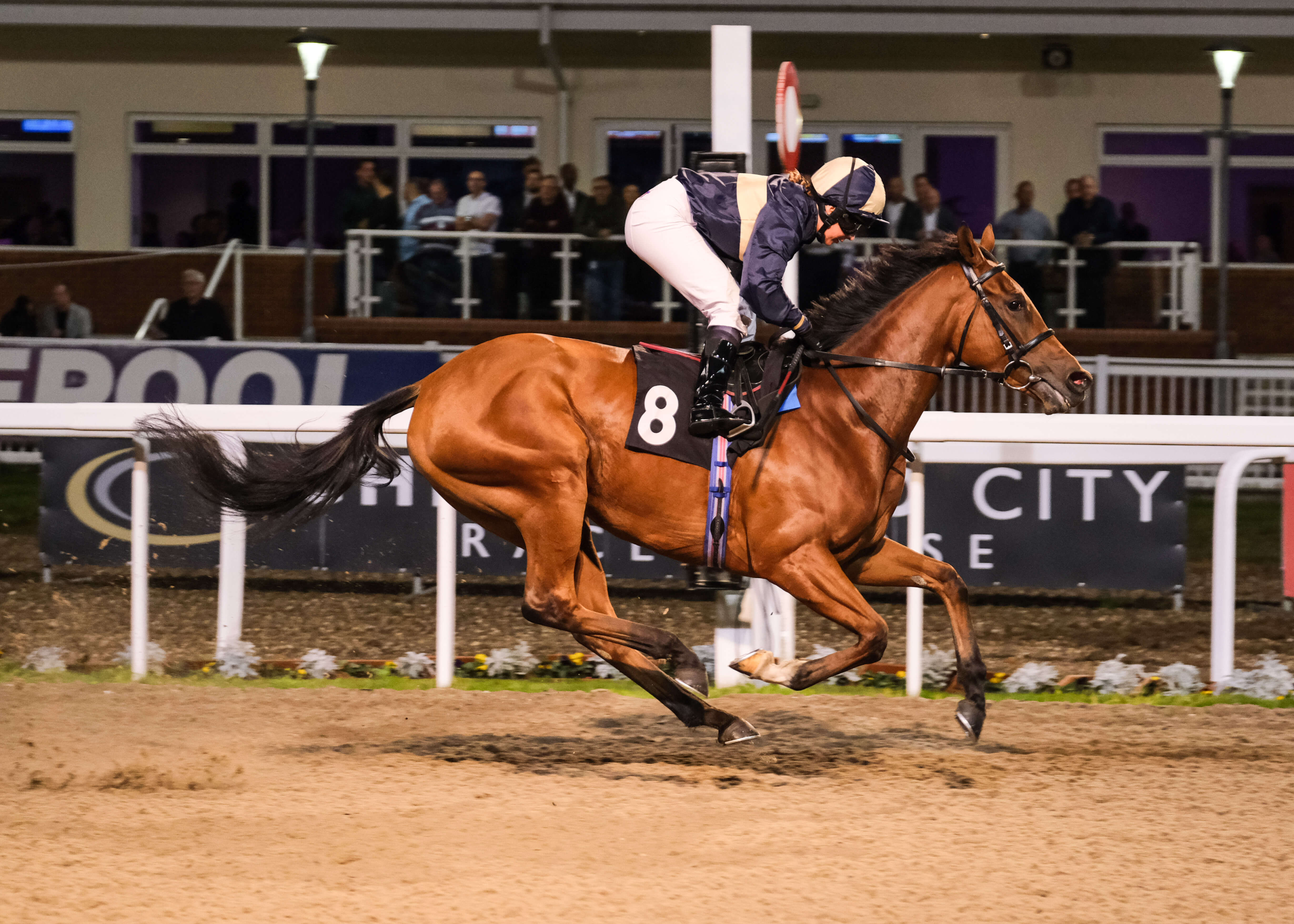 Lucky Turn wins at Chelmsford - Elliott Bloodstock Services