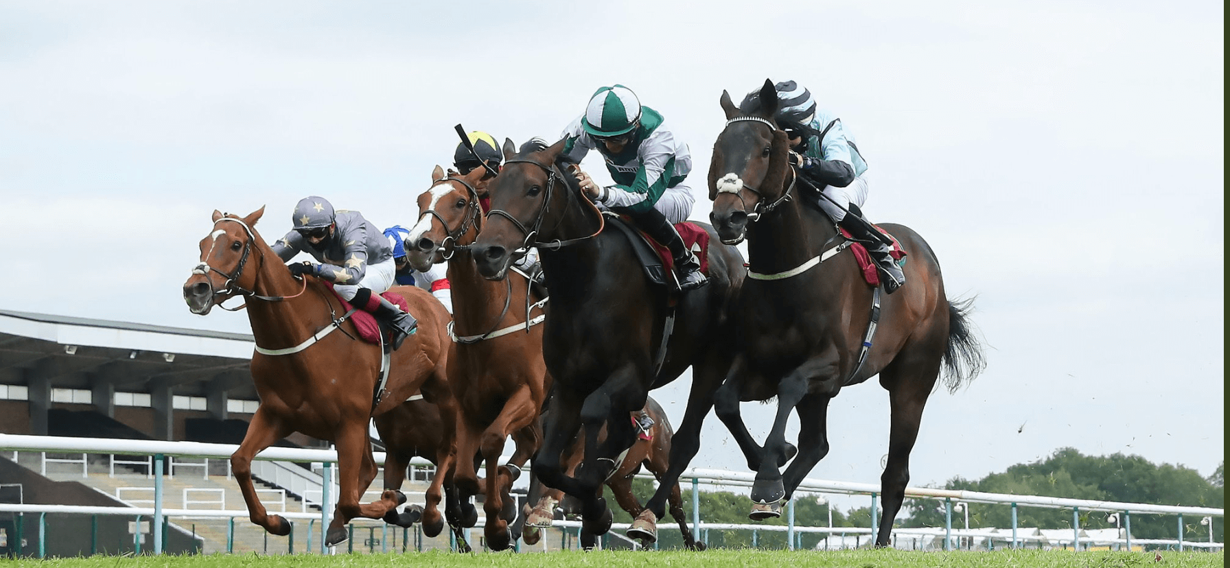 Moon King on top and Haydock - Elliott Bloodstock Services