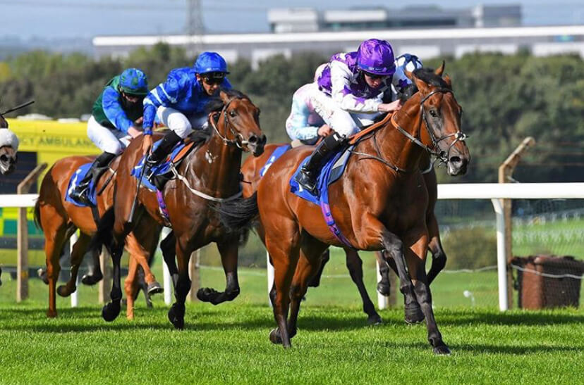 Sir Maxi wins well at Pontefract - Elliott Bloodstock Services