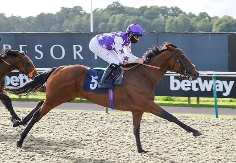 Sir Maxi scores at Lingfield - Elliott Bloodstock Services