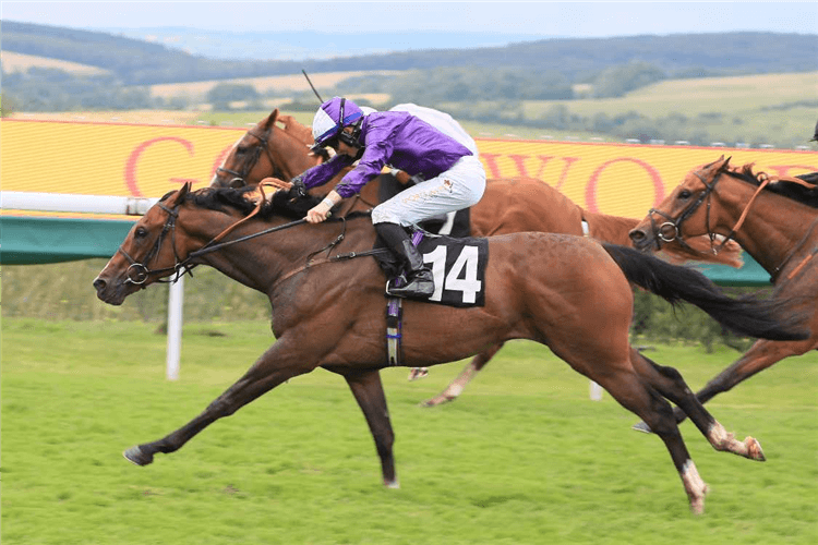 Prince Alex wins at Goodwood - Elliott Bloodstock Services