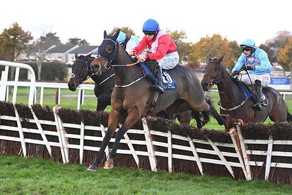 Mahon's Way impressive at Naas - Elliott Bloodstock Services