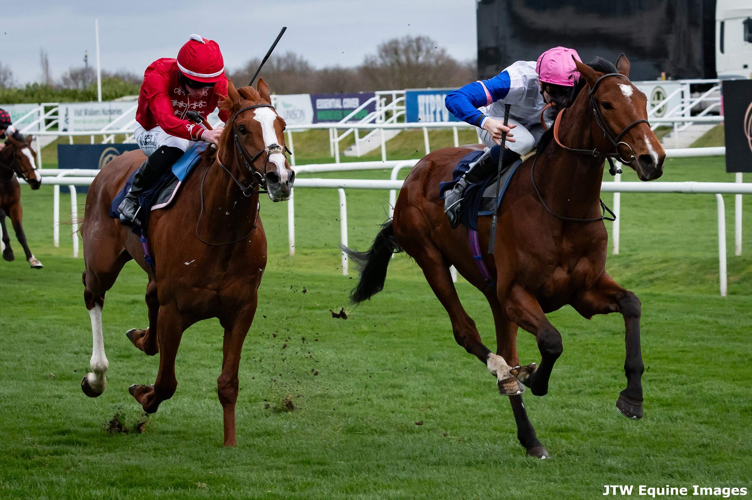 Moon Over Miami impressive on debut - Elliott Bloodstock Services