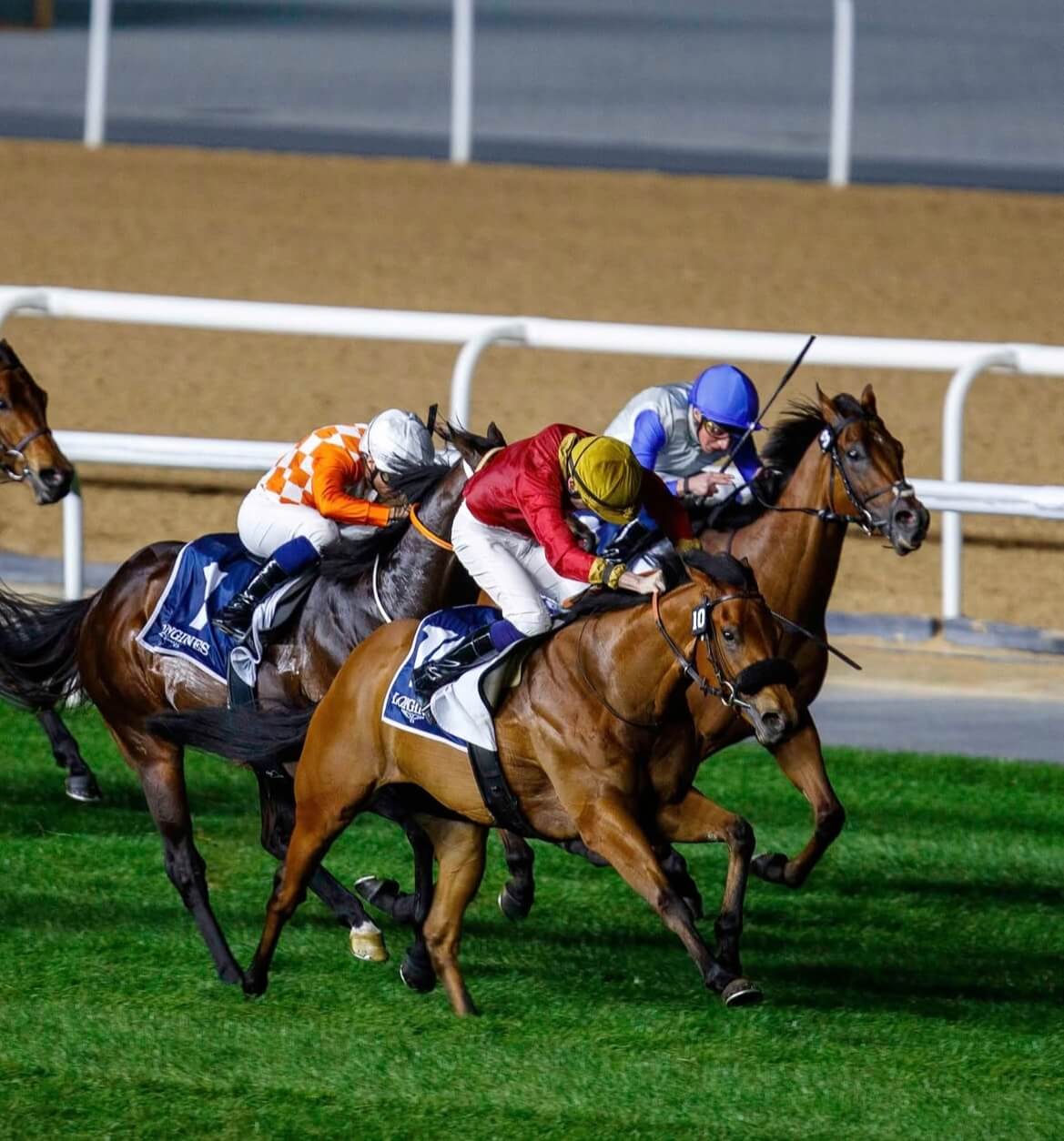 Group Double For West Acre In Dubai - Elliott Bloodstock Services