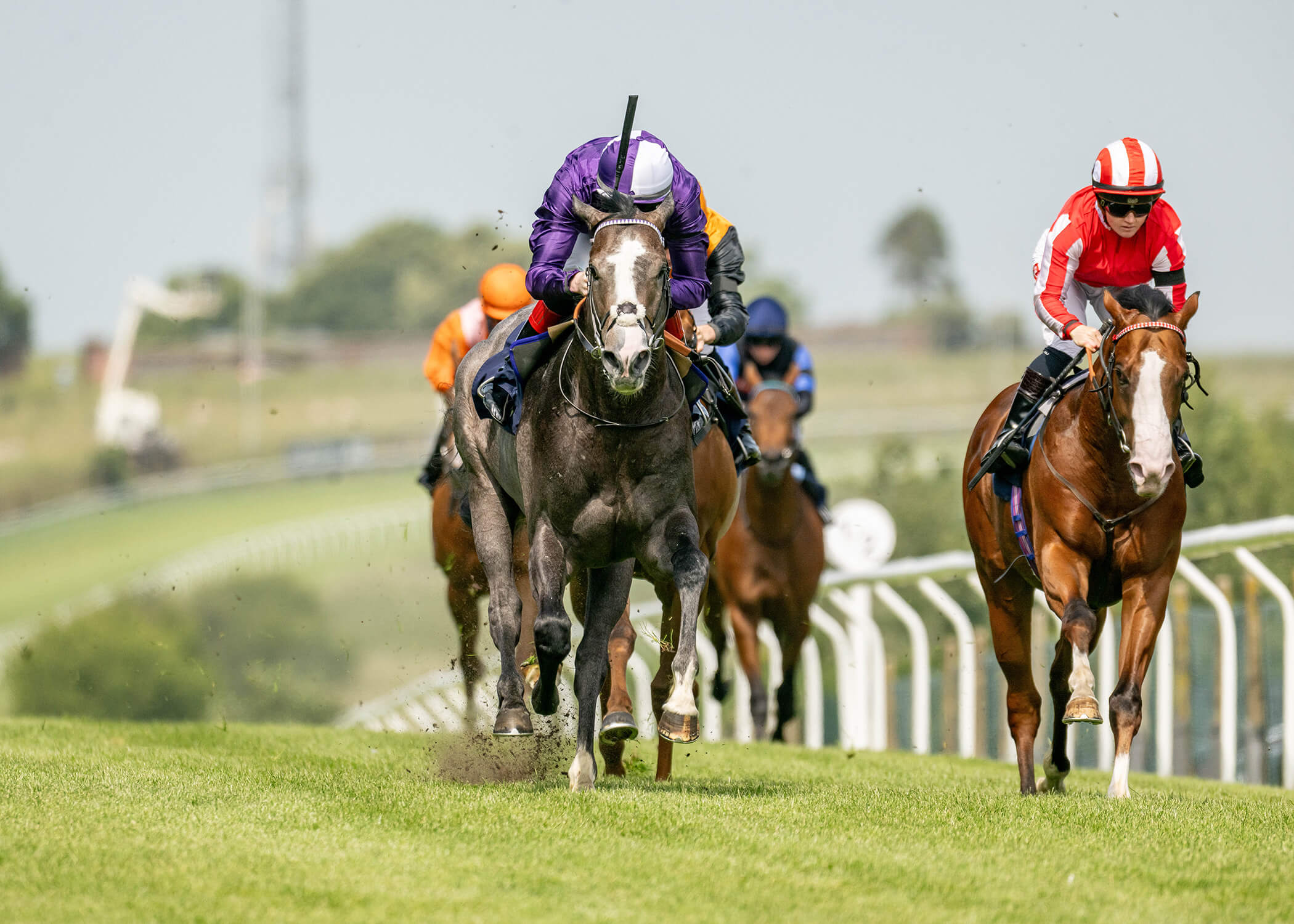 London Boy - Elliott Bloodstock Services